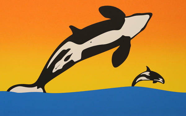 ORCA BREECH – Roy Henry Vickers Gallery